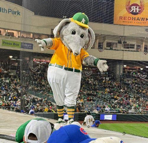athletics mascot baseball